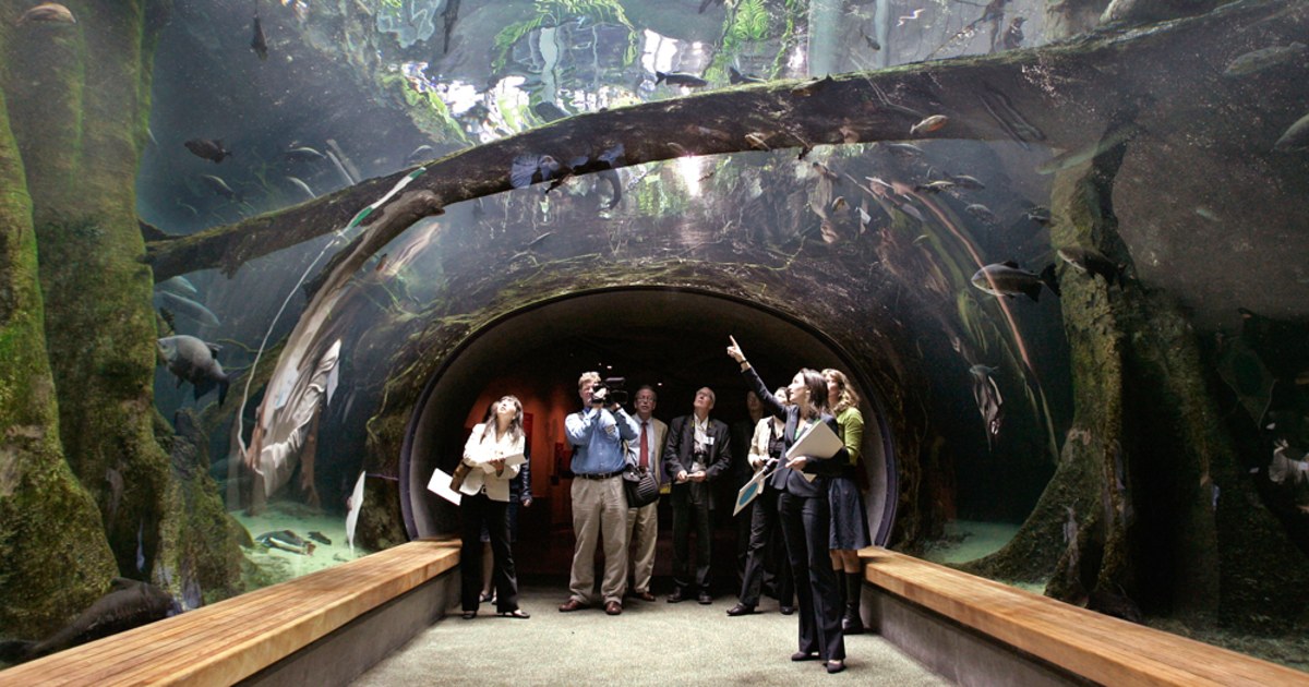 Academy of Sciences reopens with green theme