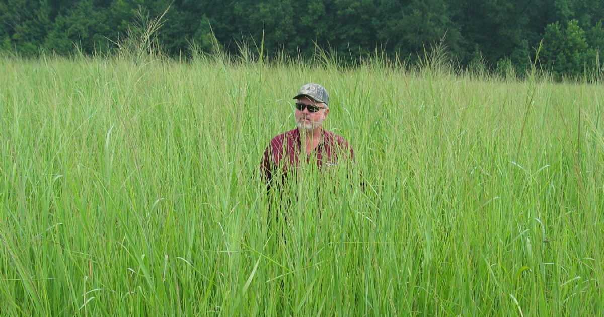 'Grassoline' refinery rising in Tennessee