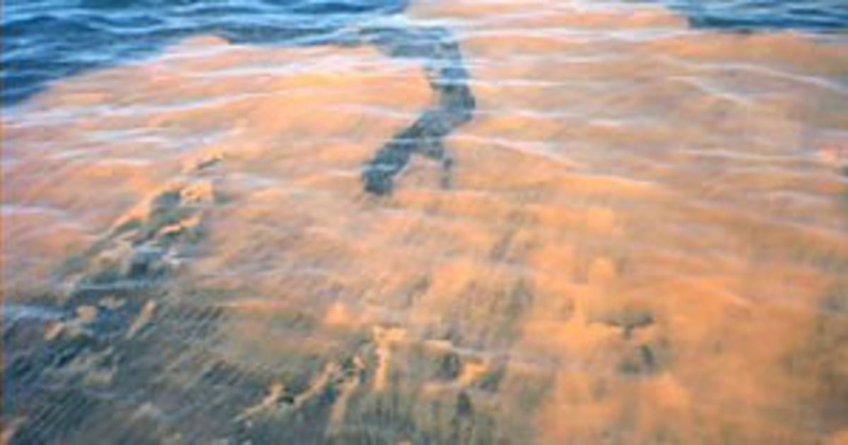 Florida red tides linked to Mississippi runoff