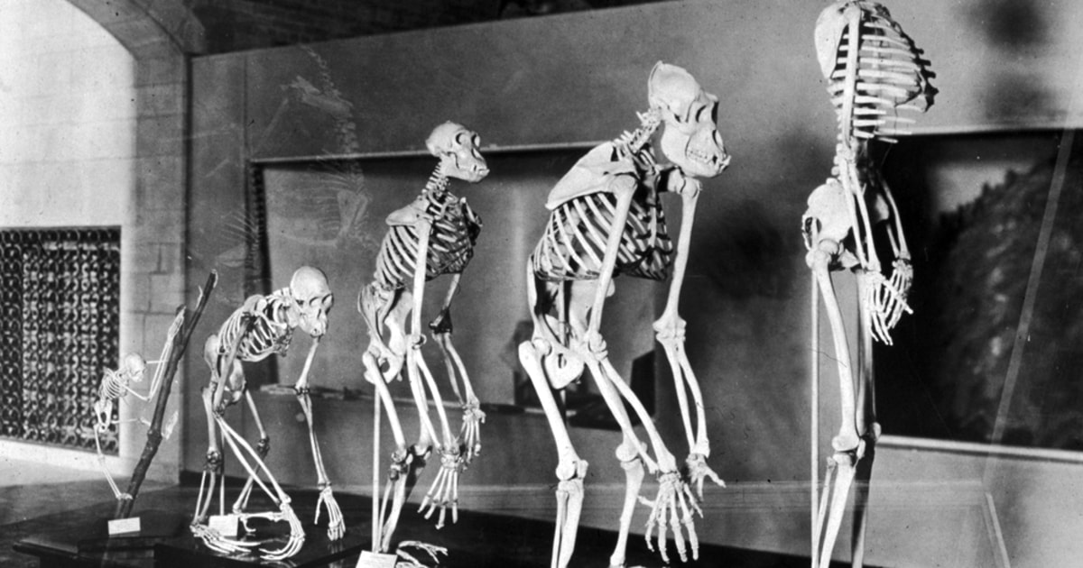 Is human evolution speeding up?