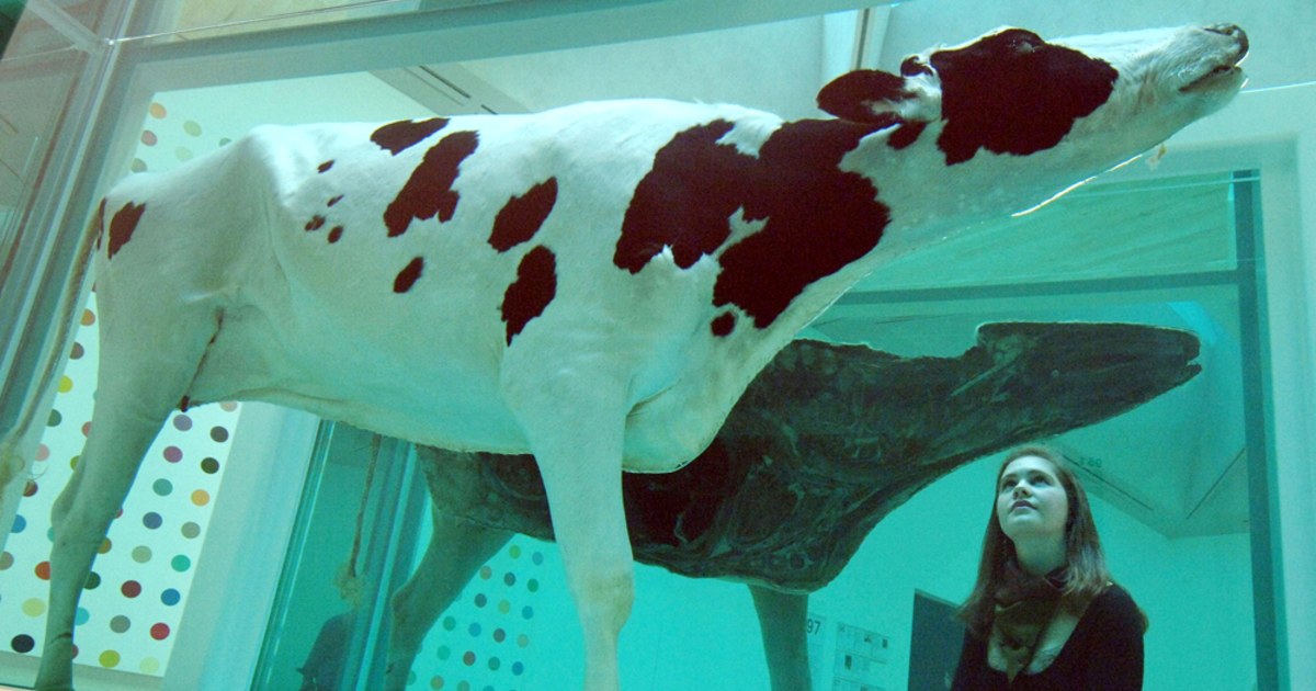 Artist donates pickled cow, calf to Tate gallery