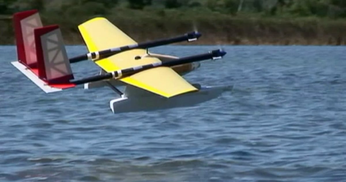 Dolphins play with robotic seaplane