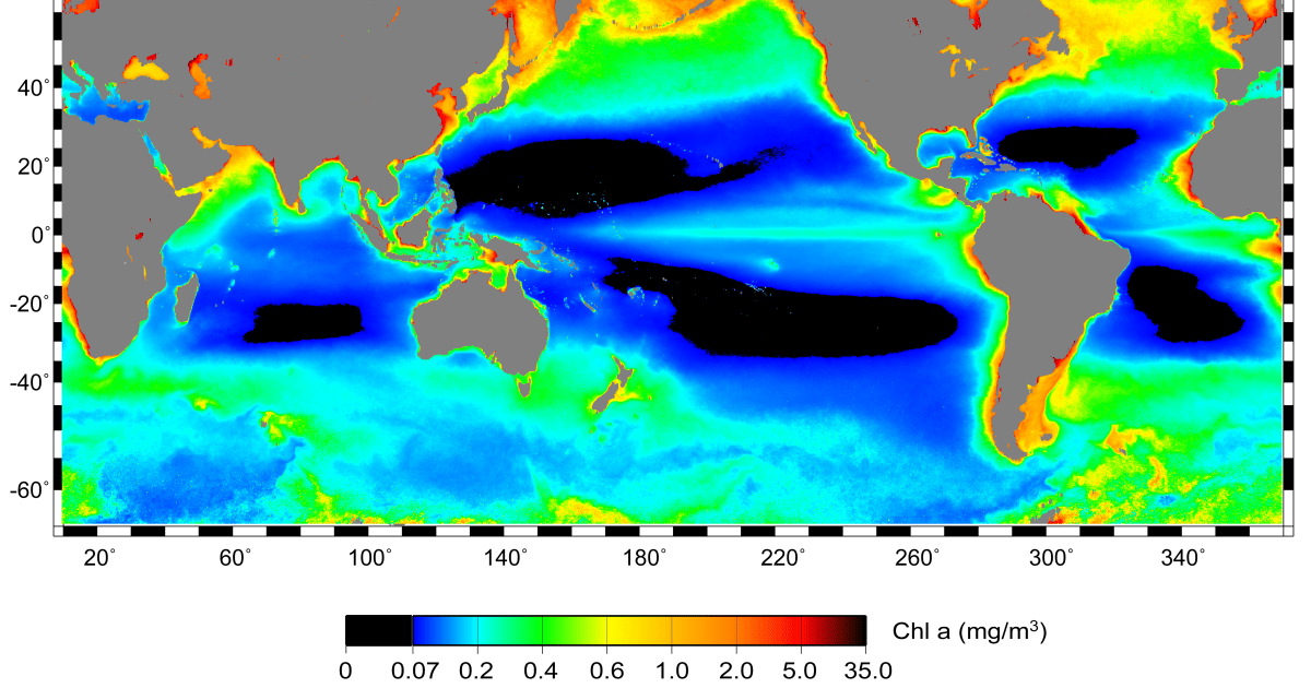 Ocean 'deserts' expanding, experts warn