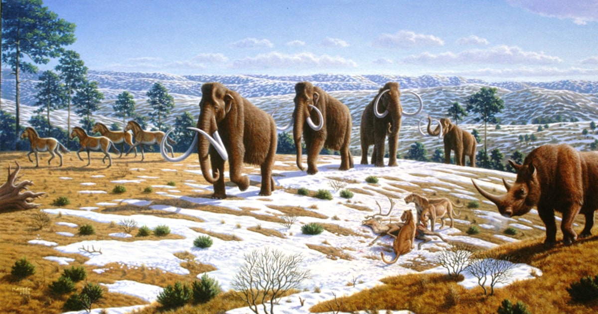 Mammoths wiped out by 'perfect storm?'
