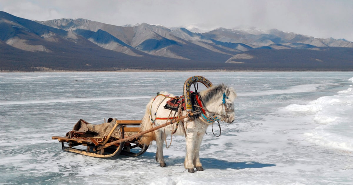 Experience magnificent Mongolia