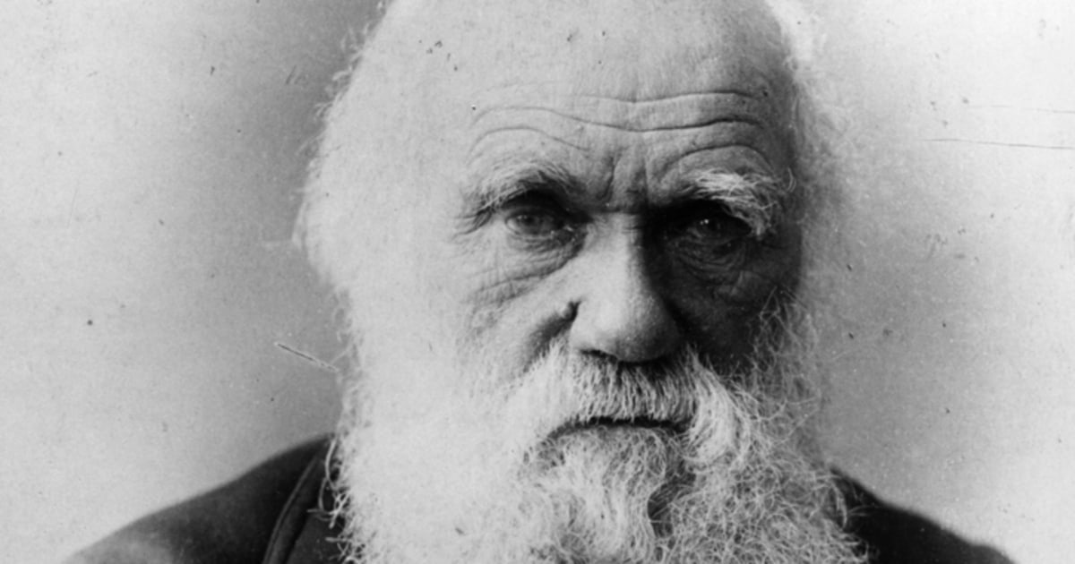 Darwin’s private papers get Internet launch