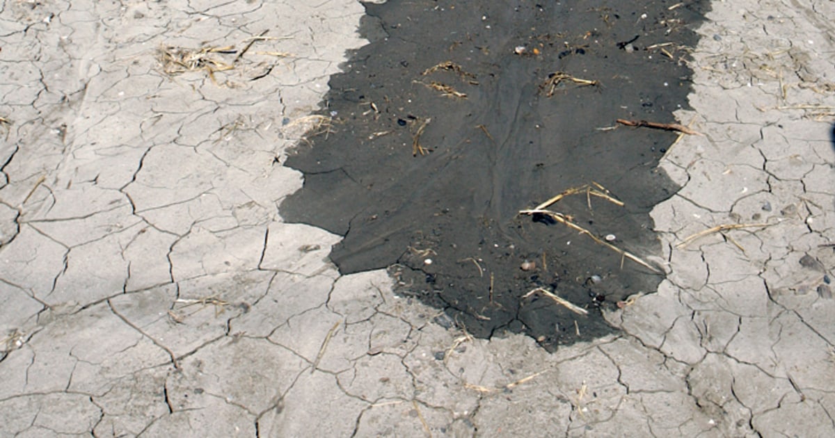 Millions spent on levee may still not be enough