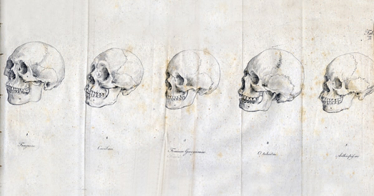 1680s-1800: Early classification of nature