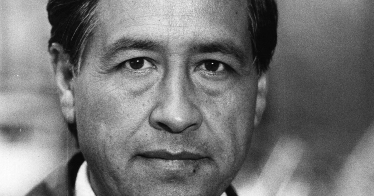 1960s-1970s: Civil rights, Vietnam and protest