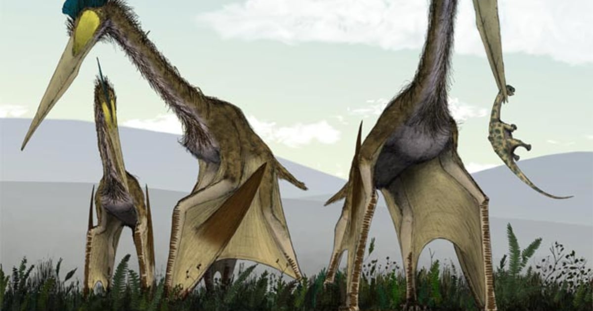 Flying reptiles ate dinosaurs for lunch