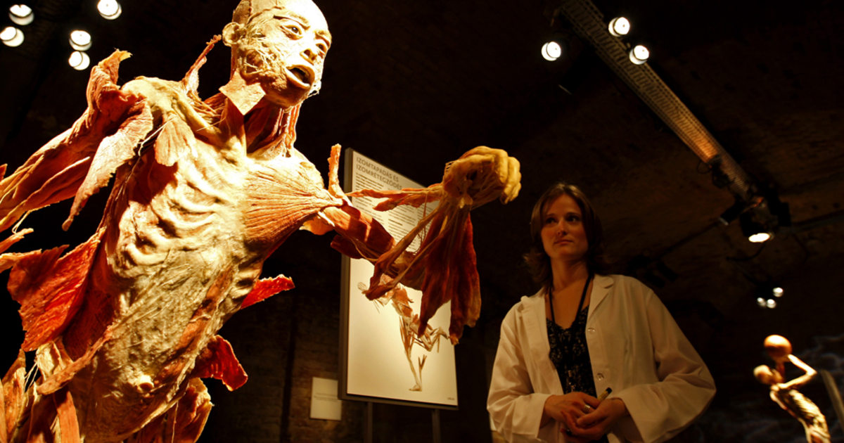 N.Y. reaches deal with cadaver exhibitor