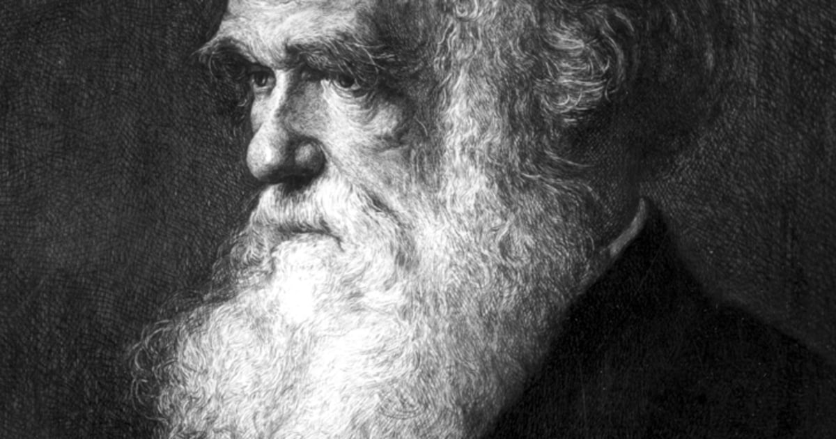 Darwin still causing waves after 150 years