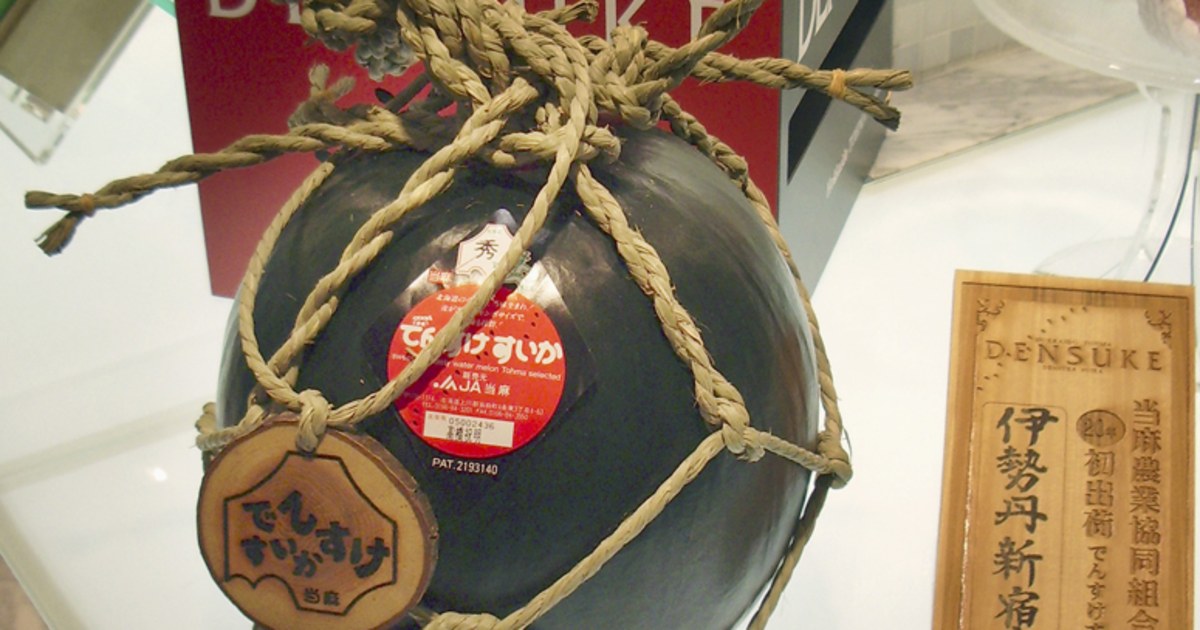 densuke watermelon square