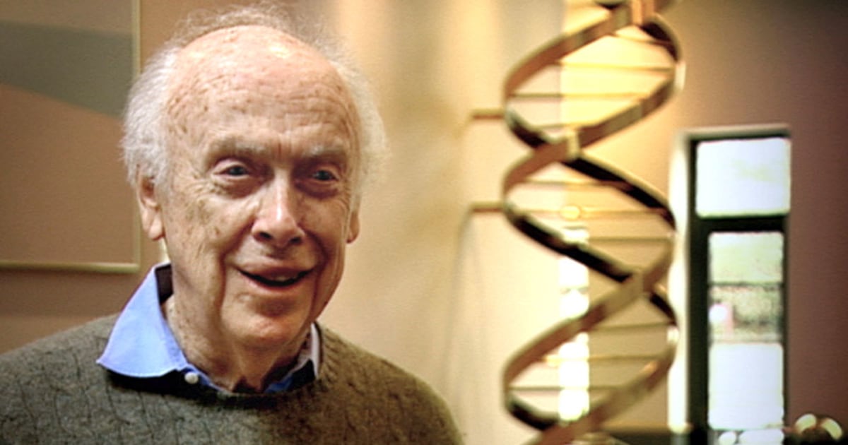 TV series unravels the saga of ‘DNA’