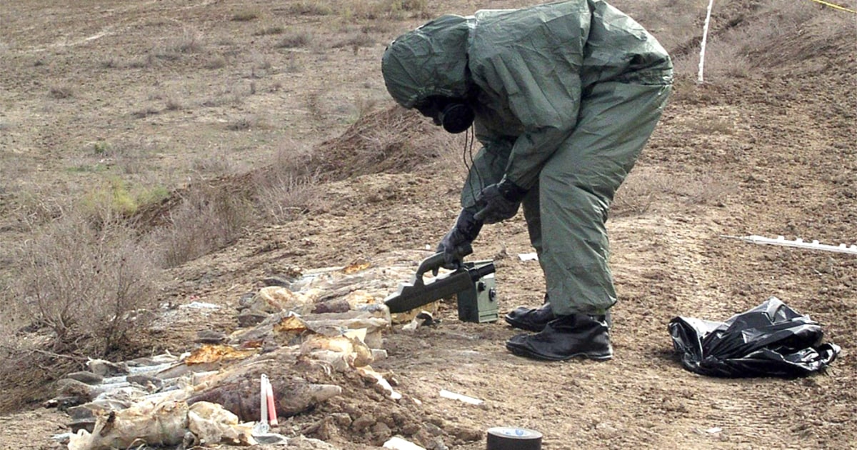 Iraqi mortar shells containing chemicals found
