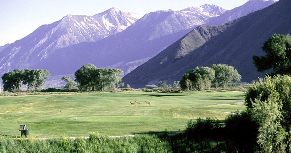 Budget Golf Budget Golf Budget Golf Budget Golf