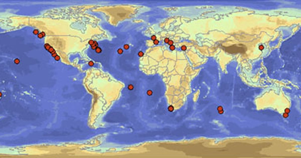 Scientists map ‘highways of the sea’