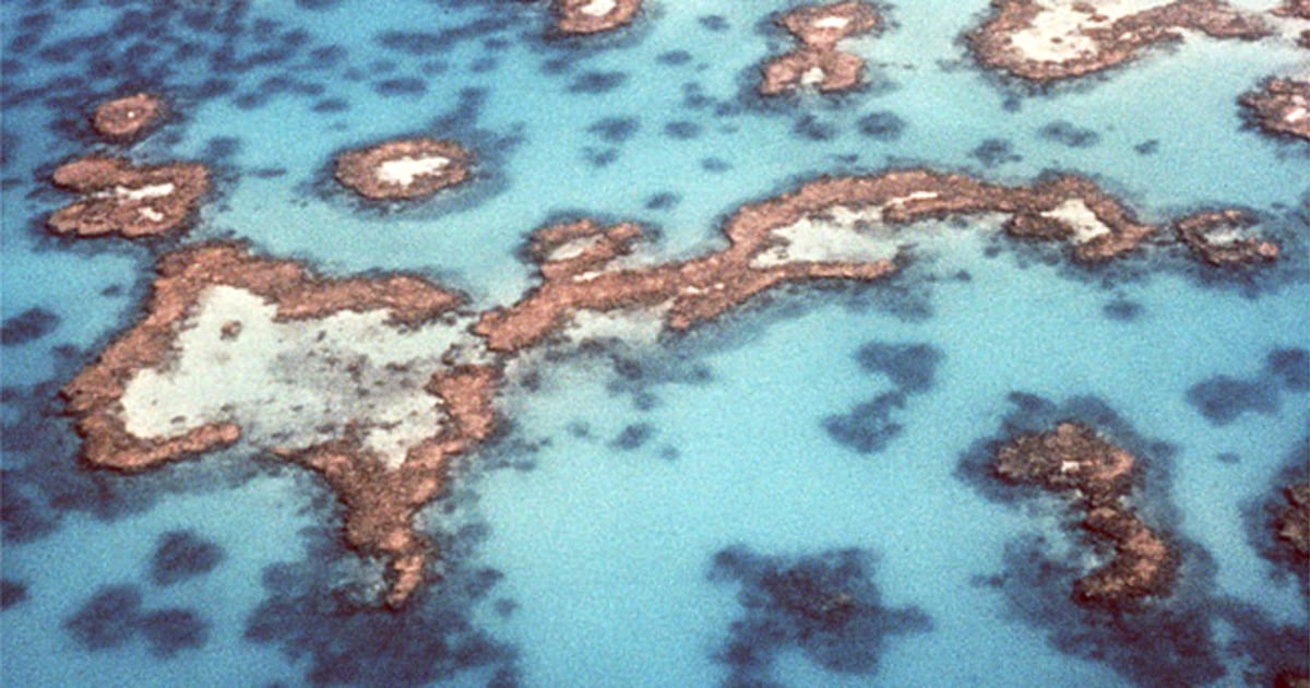 Great Barrier Reef and its bounty under attack