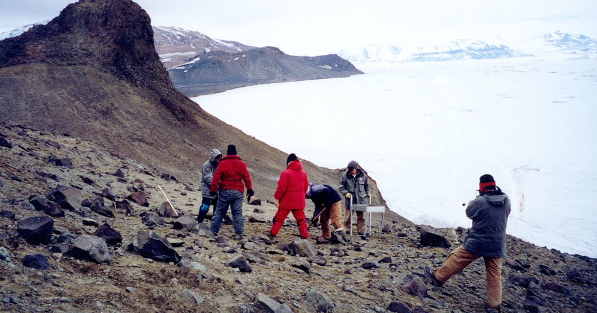 New dino species found in Antarctica