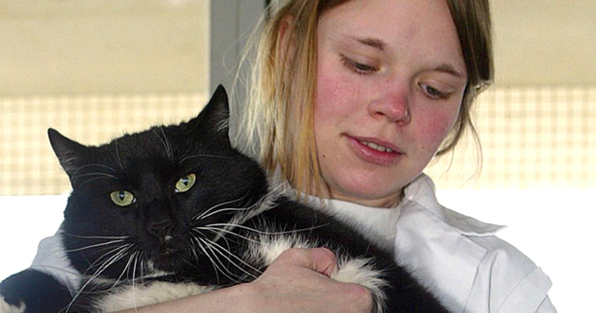 Fat cat goes on hunger strike