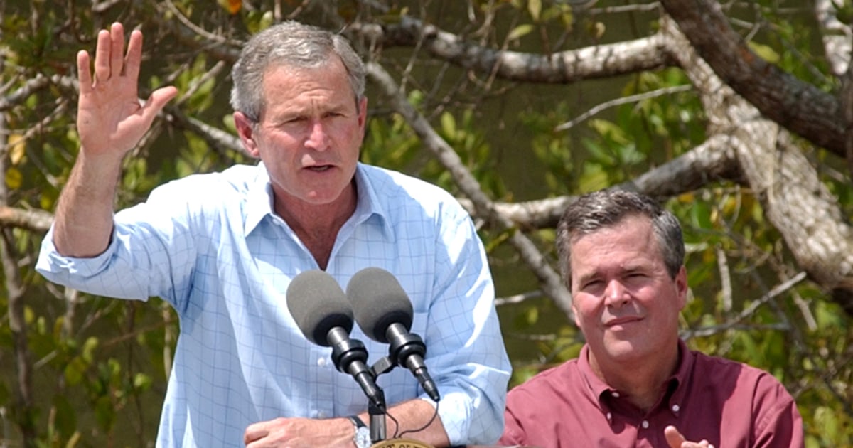 Bush walked into wetlands controversy