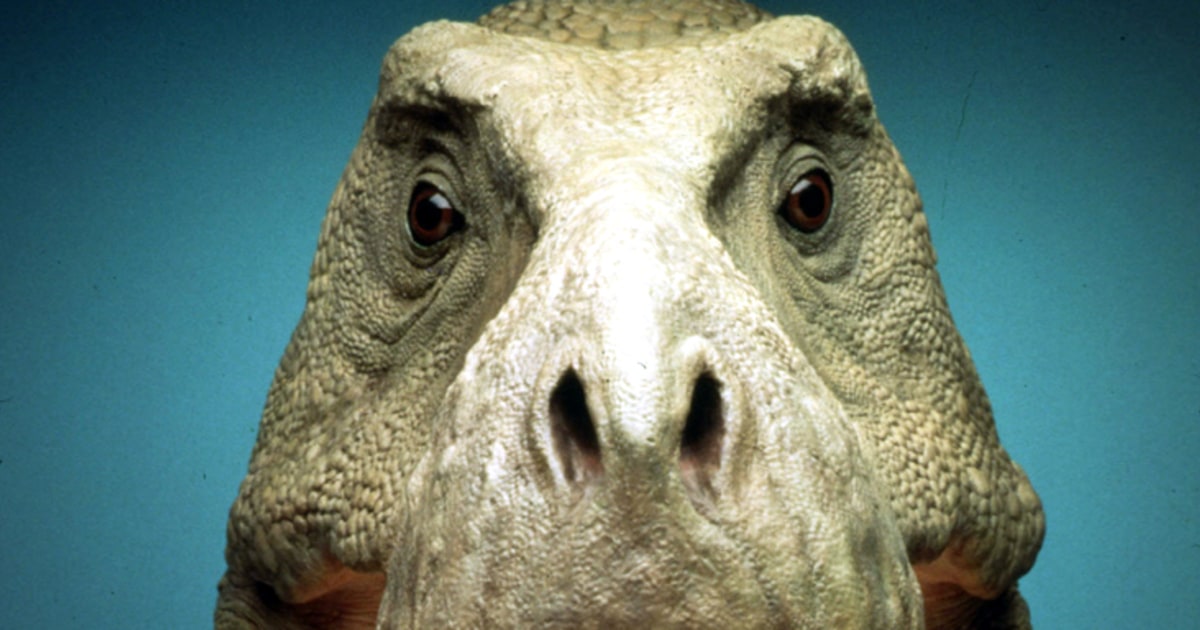 Experts re-create stinky dinosaur breath