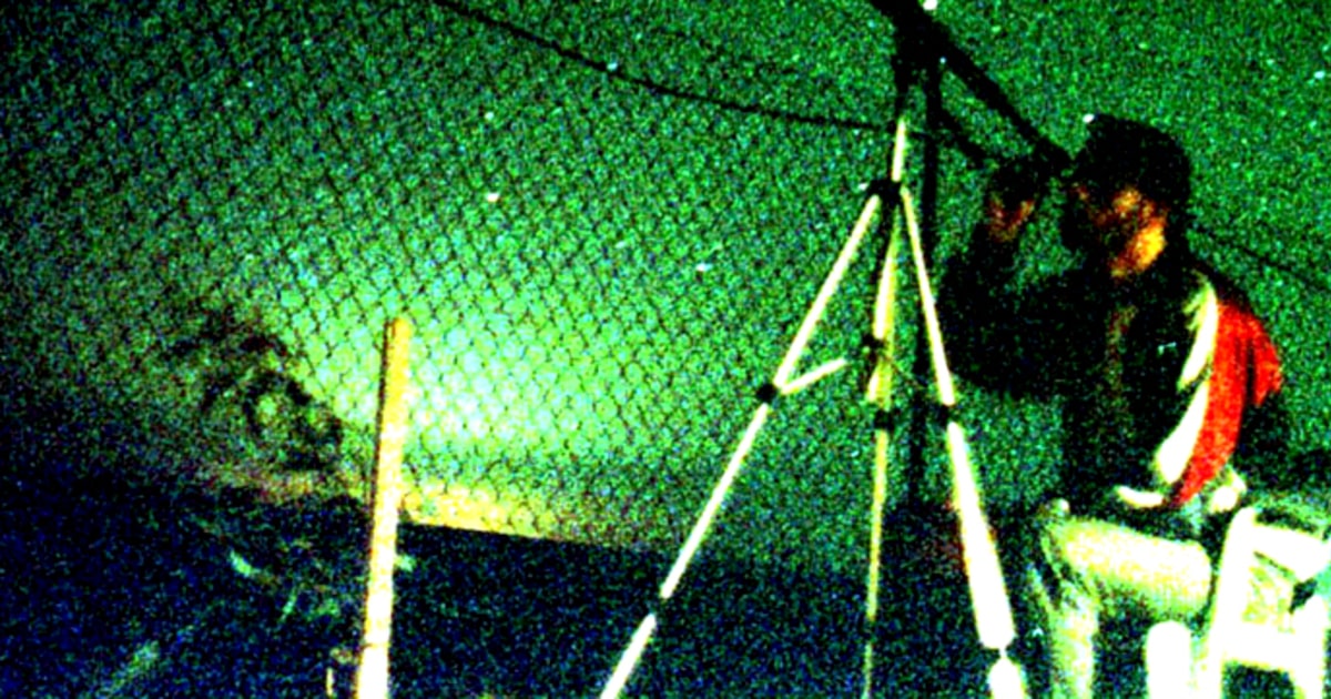 Shooting star show set to start