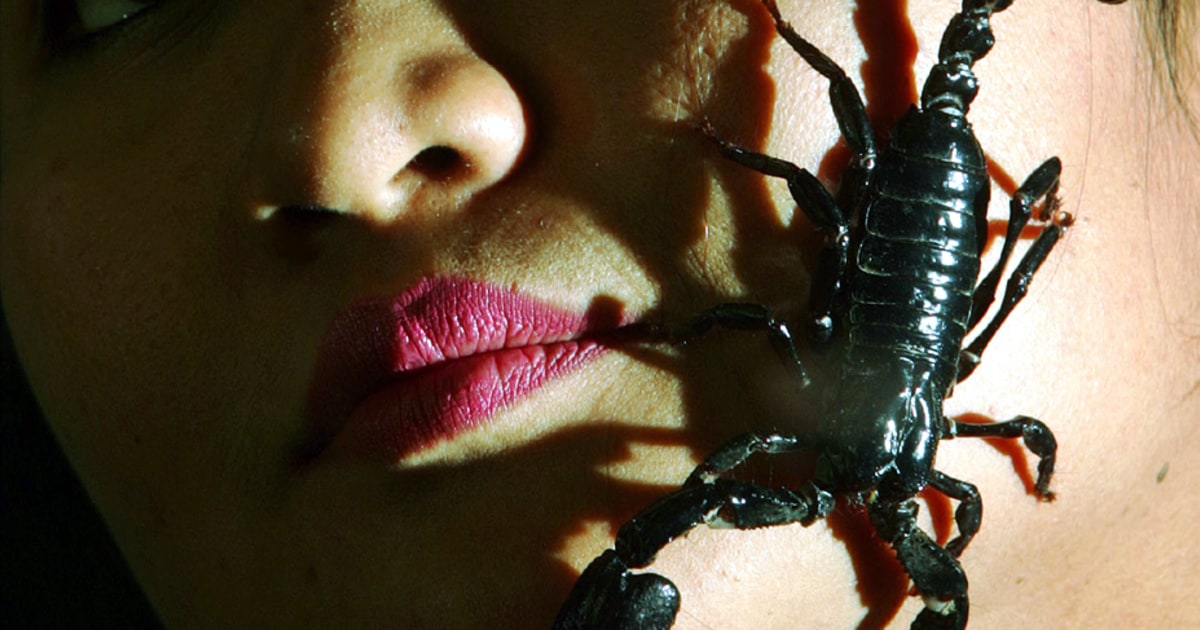 'Scorpion Queen' breaks world record