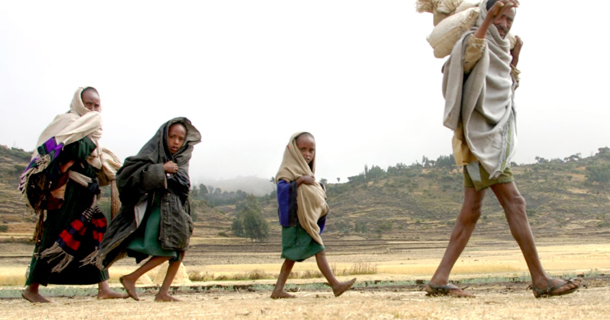Little progress in fighting world hunger