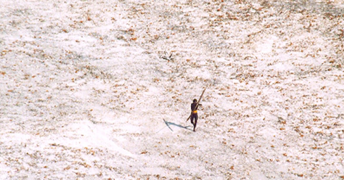 Arrow-wielding survivors emerge from forest