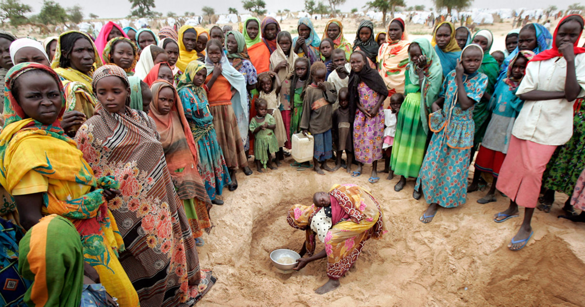 The tsunami’s other victims