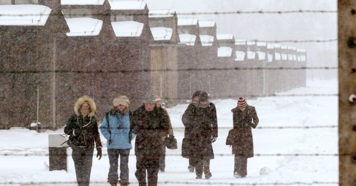 Coming to terms with Nazi past in Germany