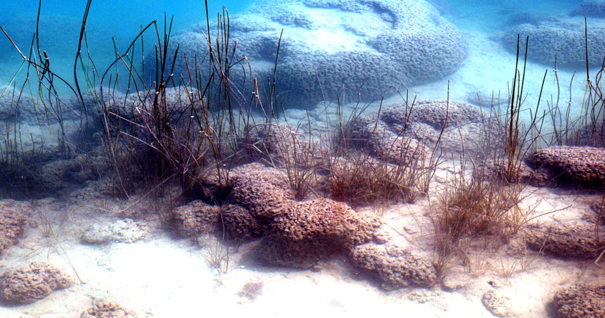 Mexican lakes may hold clues to alien life