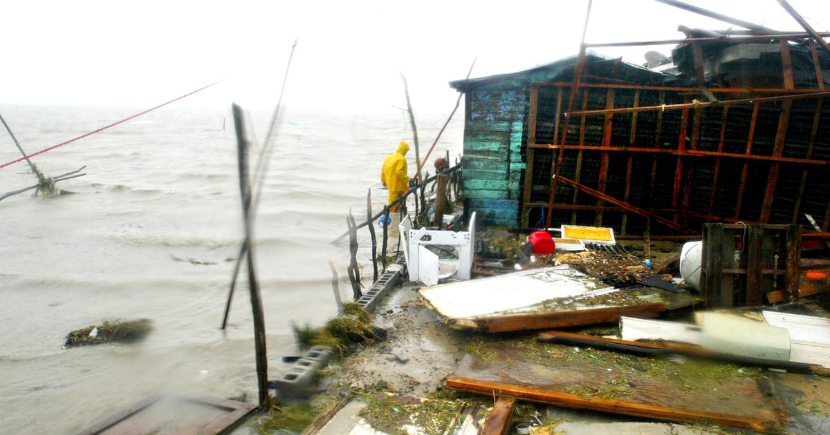 Emily loses much of its punch