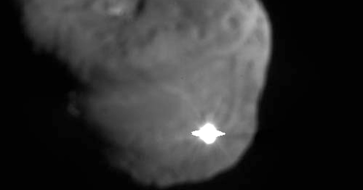 Deep Impact stays on course for an encore