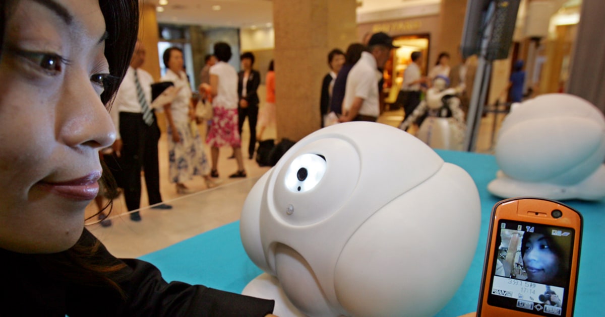 Japanese house-sitter robot hits stores
