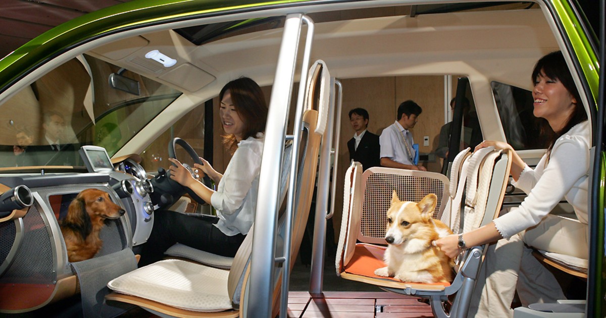 Honda unveils vehicle designed for dogs