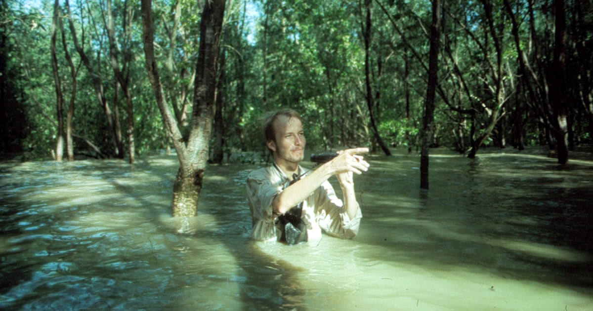 How trees protect tsunami zones