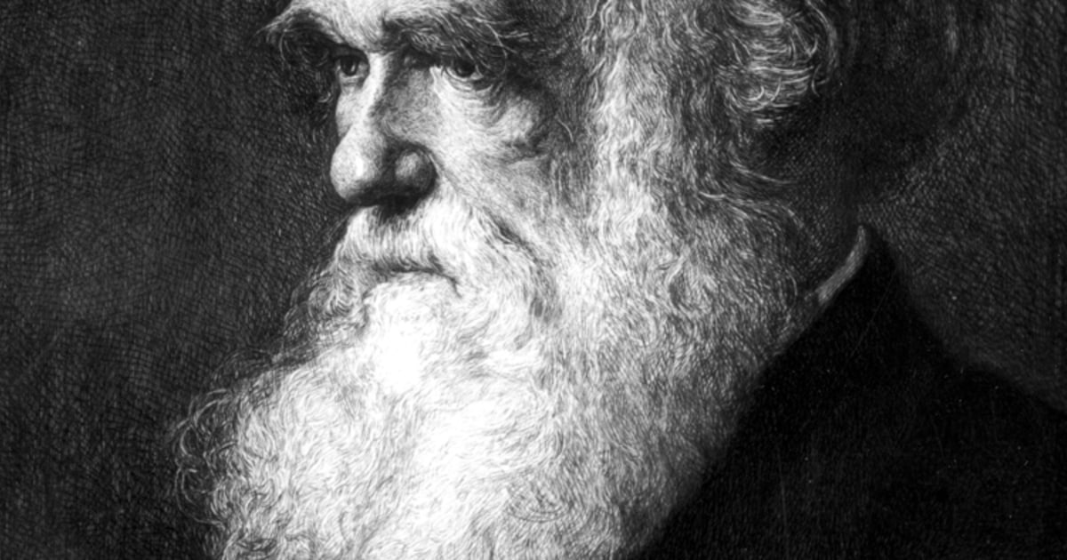 Exhibit brings Darwin’s theory to life