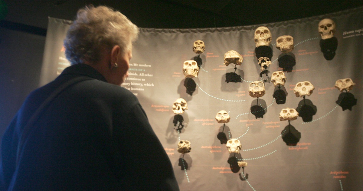 Academics weigh in on evolution debate