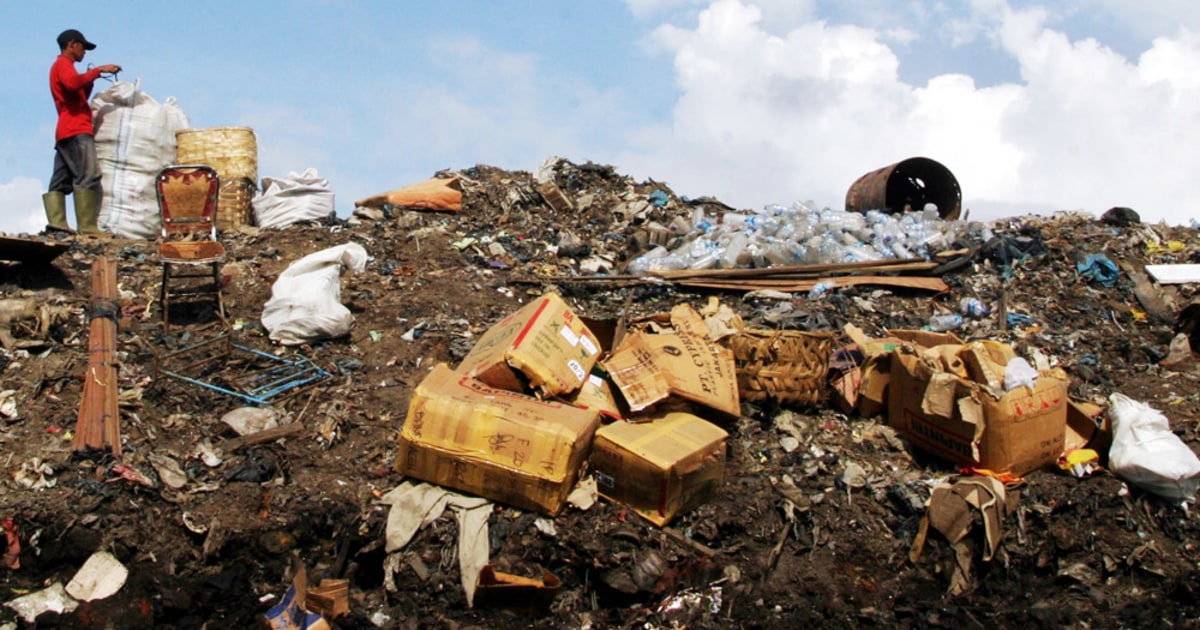 Tsunami still taking toll on environment