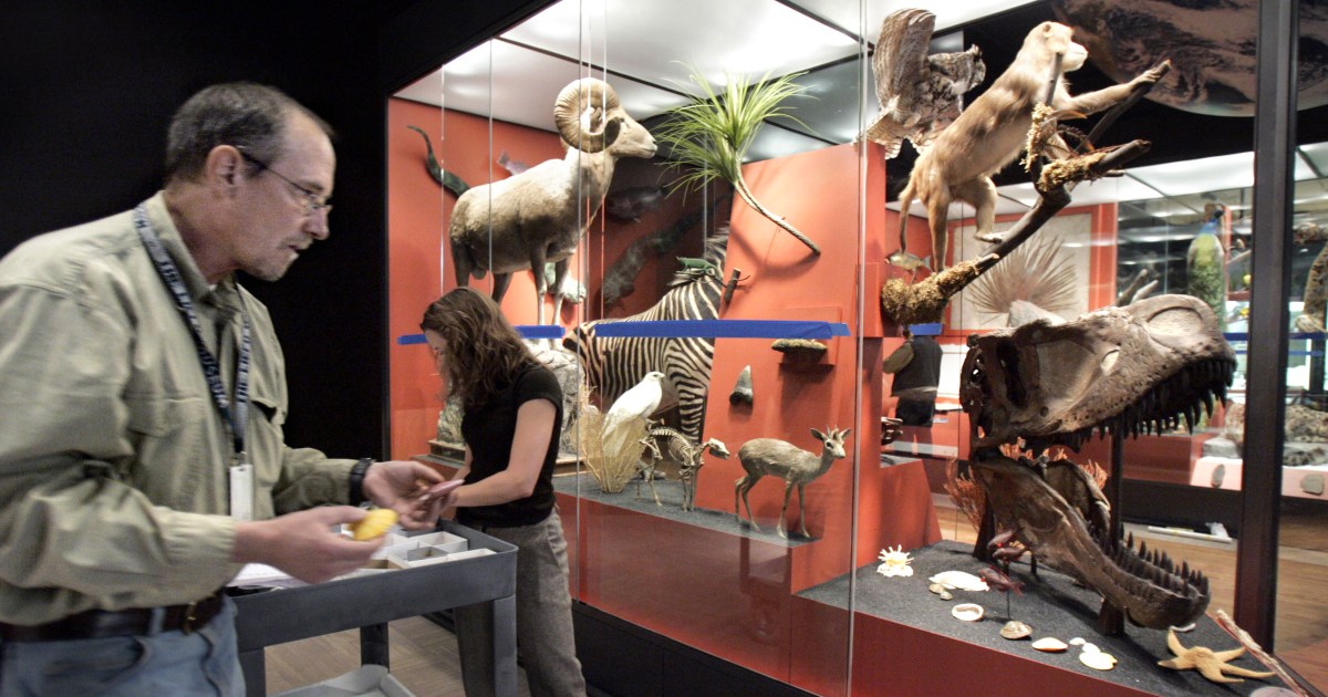 Exhibit features past and present evolution