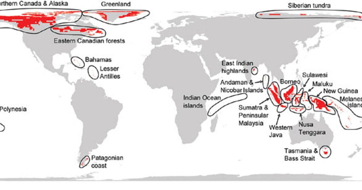 Researchers identify extinction hot spots