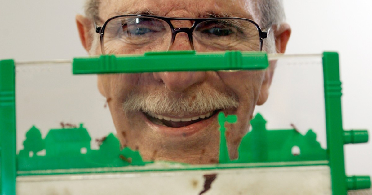 Secret life of ants continues to fascinate
