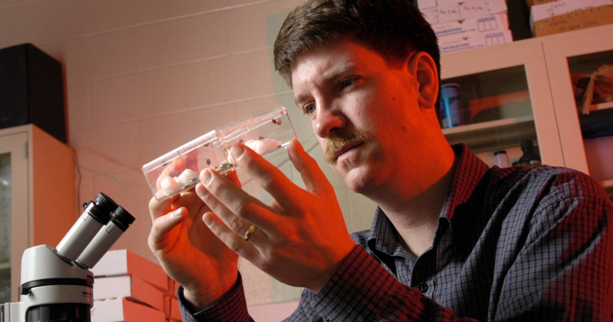Bugs plug $57 billion into U.S. economy