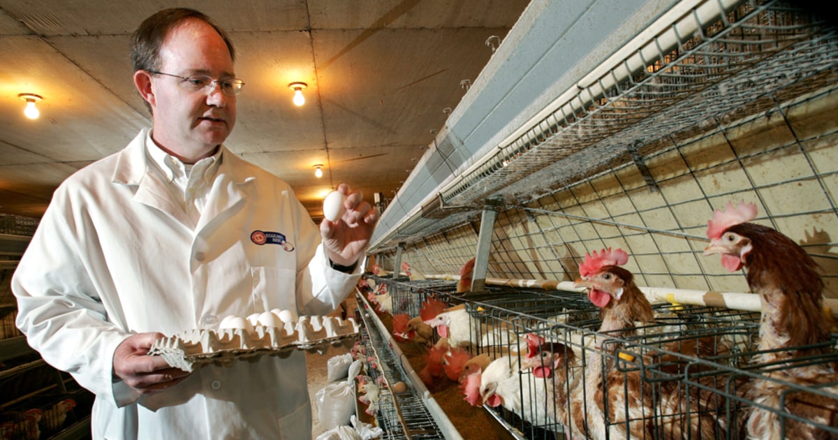 Healthy hens hatch success for Eggland's Best
