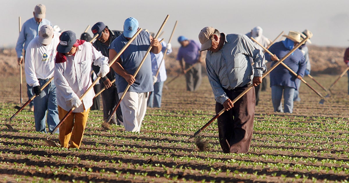 How immigrants might actually boost wages