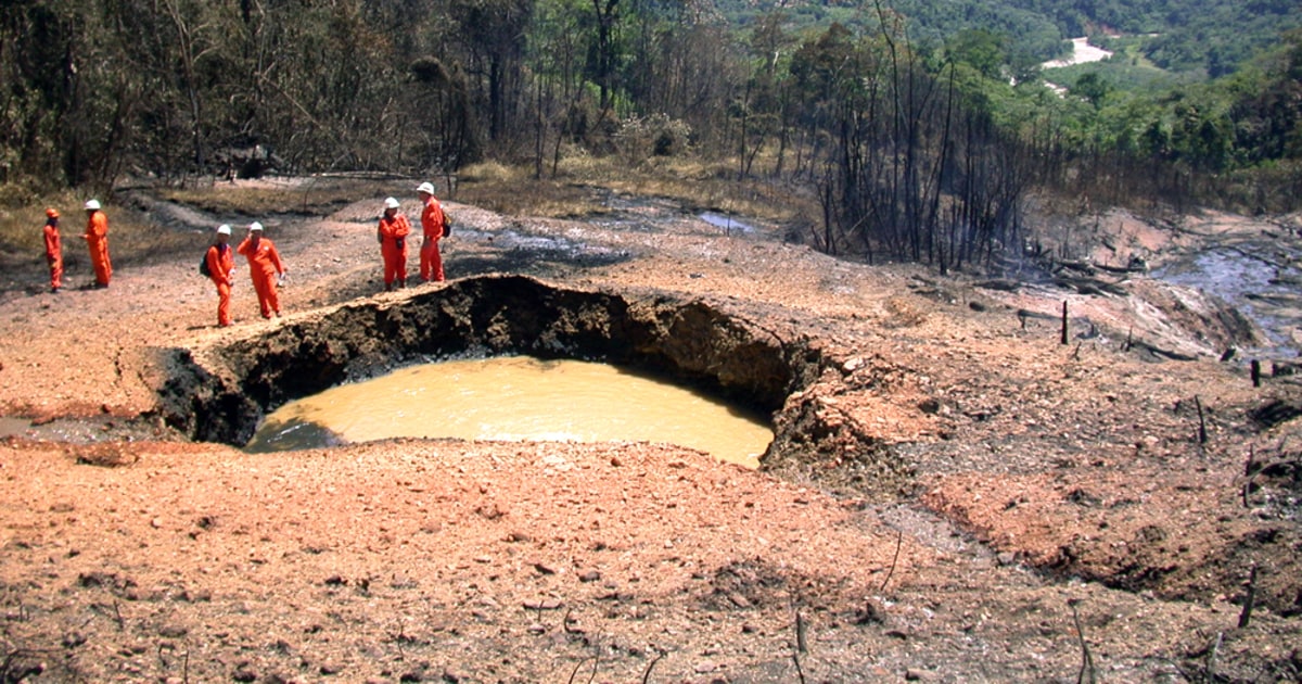 Rain forest gas fight