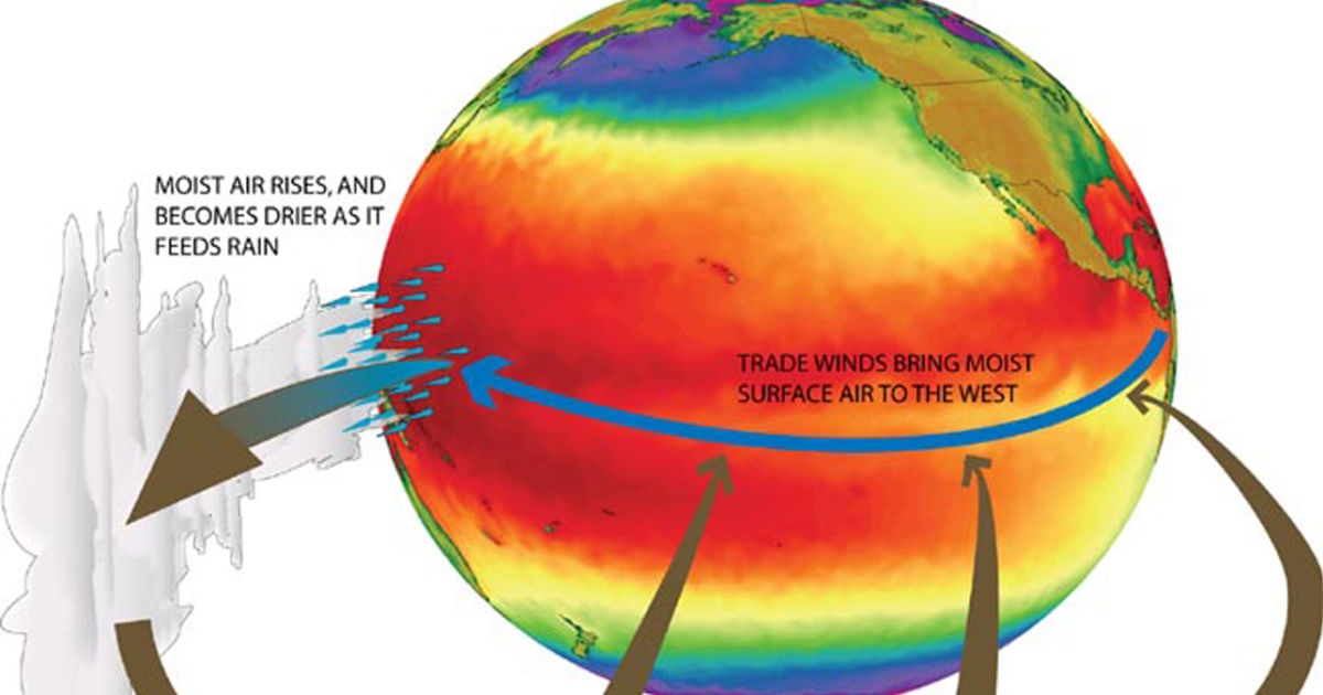 Global warming weakens Pacific trade winds