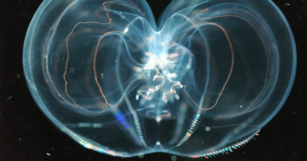 Deep-sea discoveries in Bermuda Triangle